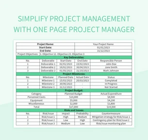 One Page Project Plan Simplified And Efficient Method For Management Excel | Template Free ...