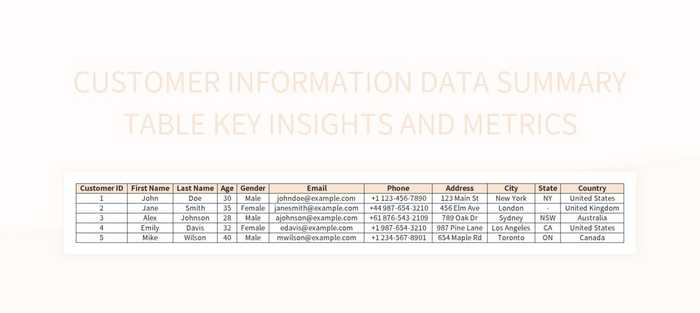 Customer Information Data Summary Table Key Insights And Metrics Excel | Template Free Download ...